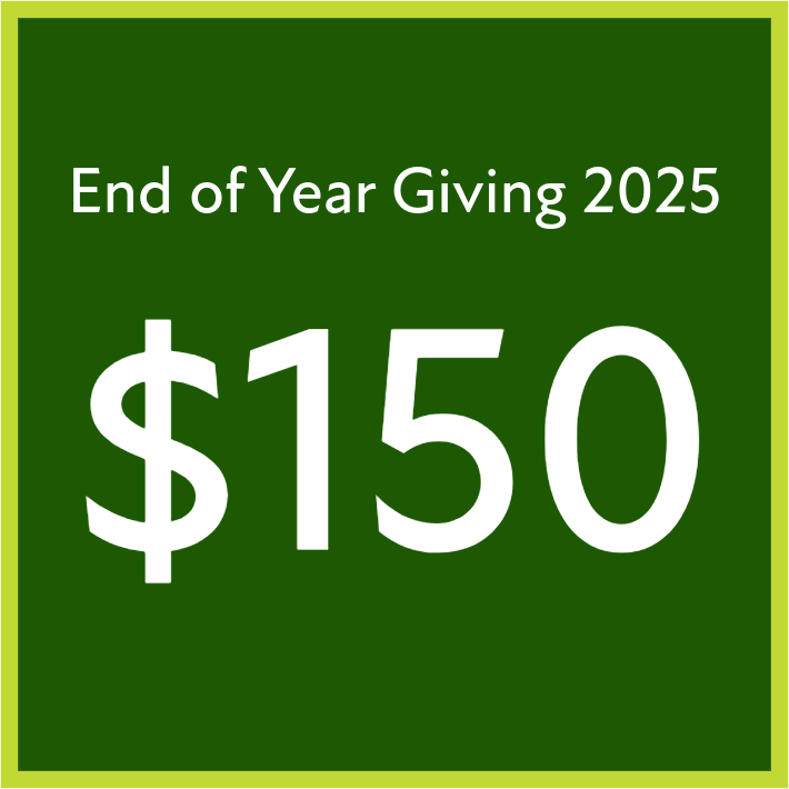 End of Year Giving 2025 - $150 – gallerynorth